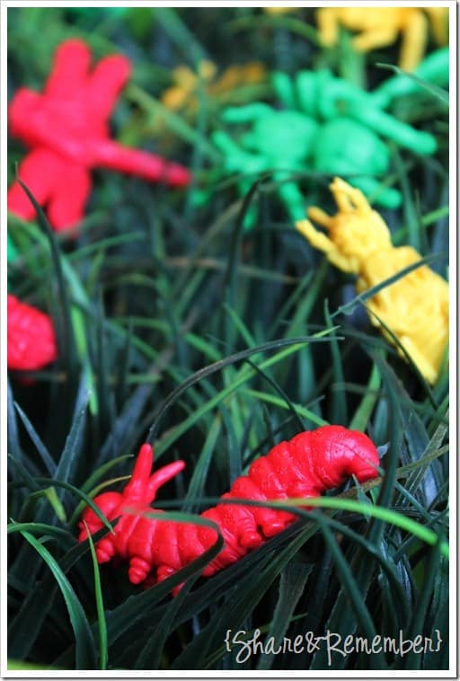 Bugs in the Grass Spring Play Bin