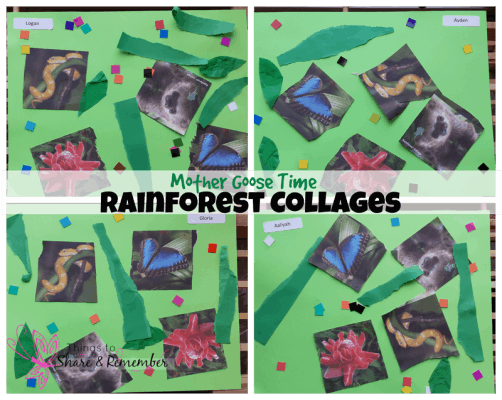Layers of the Rainforest Preschool Activities