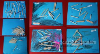 Animal Homes: Beaver Lodge