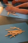 Animal Homes: Beaver Lodge