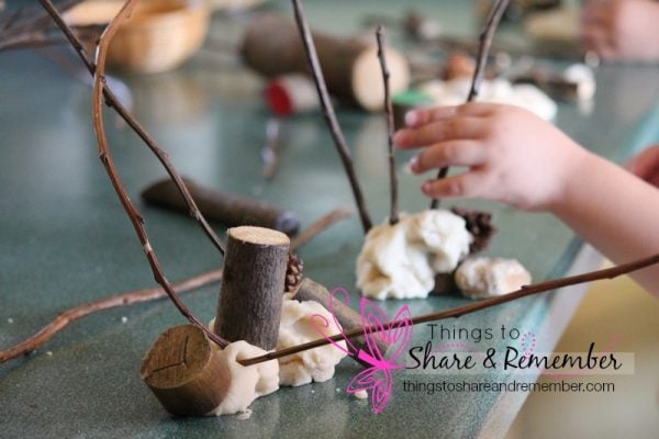 Nature Play Dough Preschool Fine Motor and Nature Activity