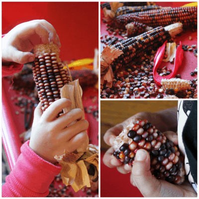 Indian Corn Play & Learn Activities