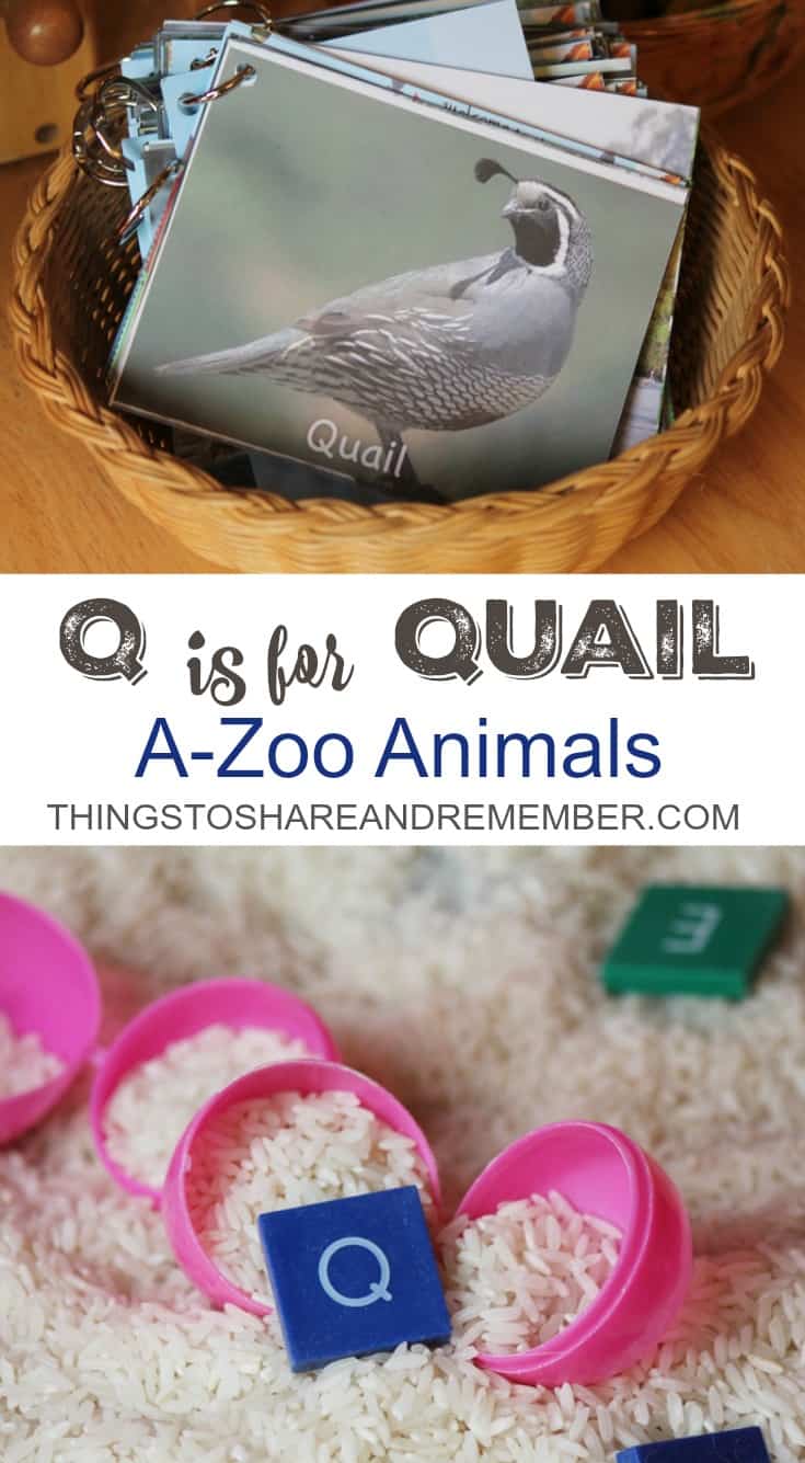 Q is for Quail
