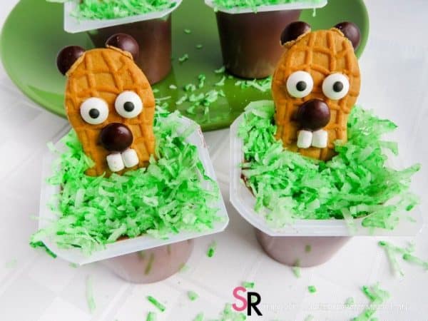 Groundhog Day Pudding Cups Snack for Kids for Spring