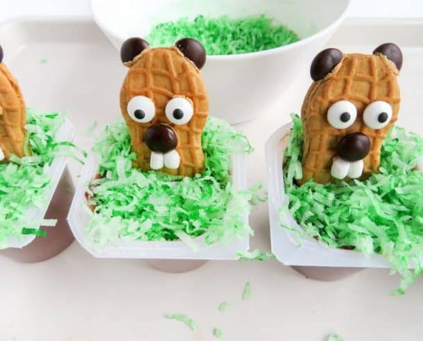 Groundhog Day Pudding Cups Snack for Kids for Spring