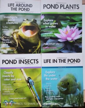 What's in the Box? Pond Life from Experience Early Learning