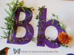 Nature Letters activity for preschoolers