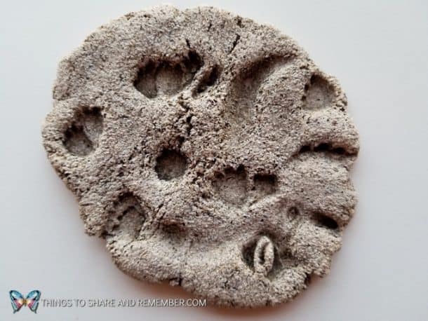 Dinosaur Fossil Clay Recipe » Share & Remember | Celebrating Child & Home