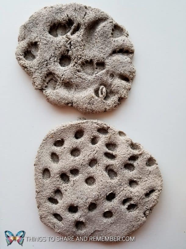Dinosaur Fossil Clay Recipe » Share & Remember | Celebrating Child & Home