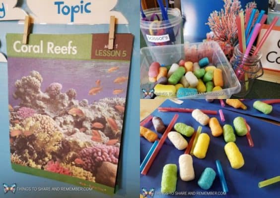 Coral Collages and STEAM Station Ocean Commotion Preschool Theme