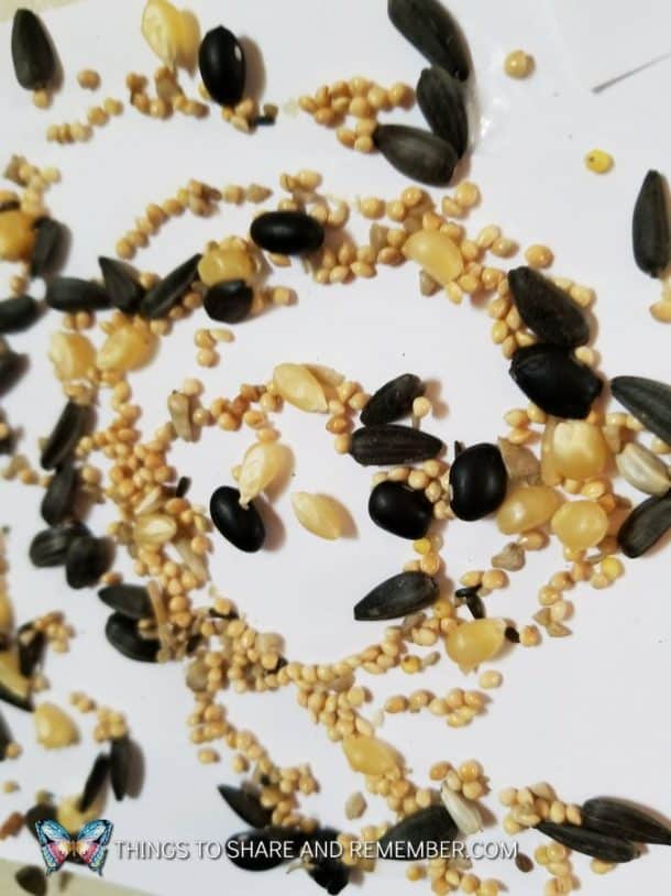 Creating Seed Mosaics in Preschool with Mother Goose Time