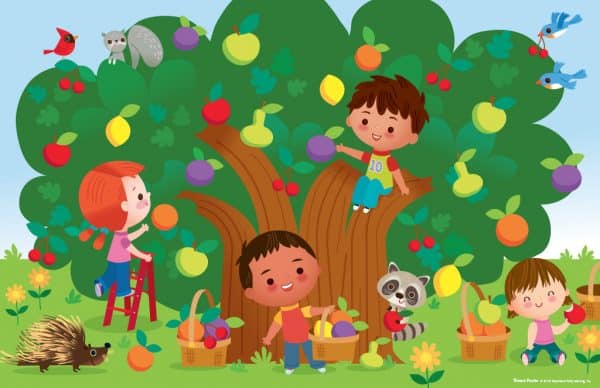What's in the Box: Orchard Harvest
