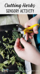 Cutting Herbs Sensory Activity » Things to Share & Remember