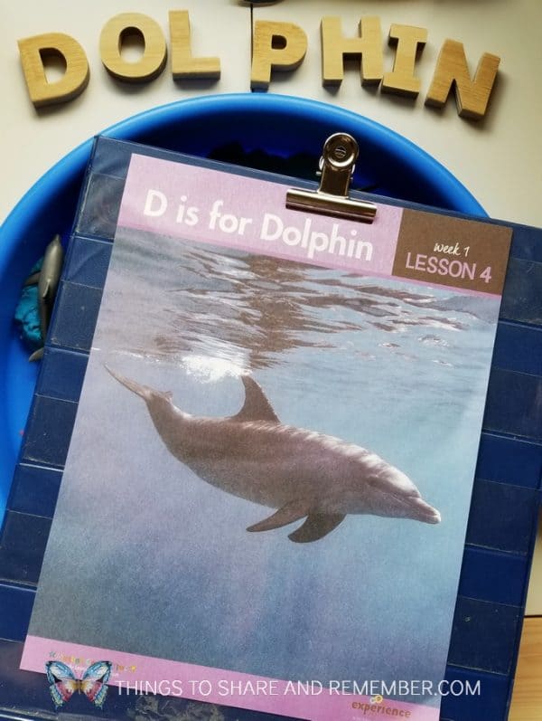 D is for Dolphin » Things to Share & Remember