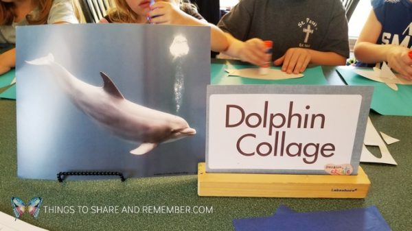 D is for Dolphin » Things to Share & Remember