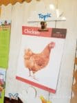 Chicken Coop Dramatic Play » Things to Share & Remember