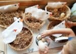 Chicken Coop Dramatic Play » Things to Share & Remember