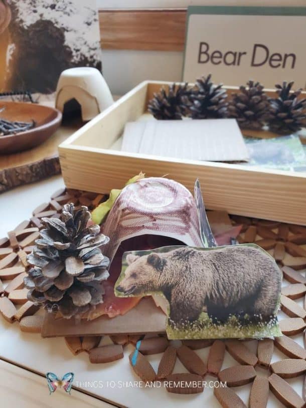 B is for Bear Den » Things to Share & Remember