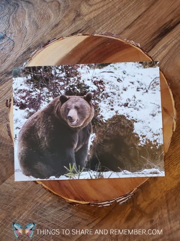 B is for Bear Den » Things to Share & Remember