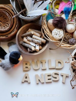 Build a Bird Nest Activity » Things to Share & Remember