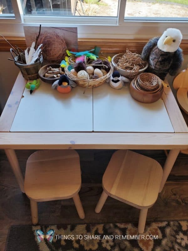 Build a Bird Nest Activity » Things to Share & Remember