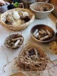 Build a Bird Nest Activity » Things to Share & Remember