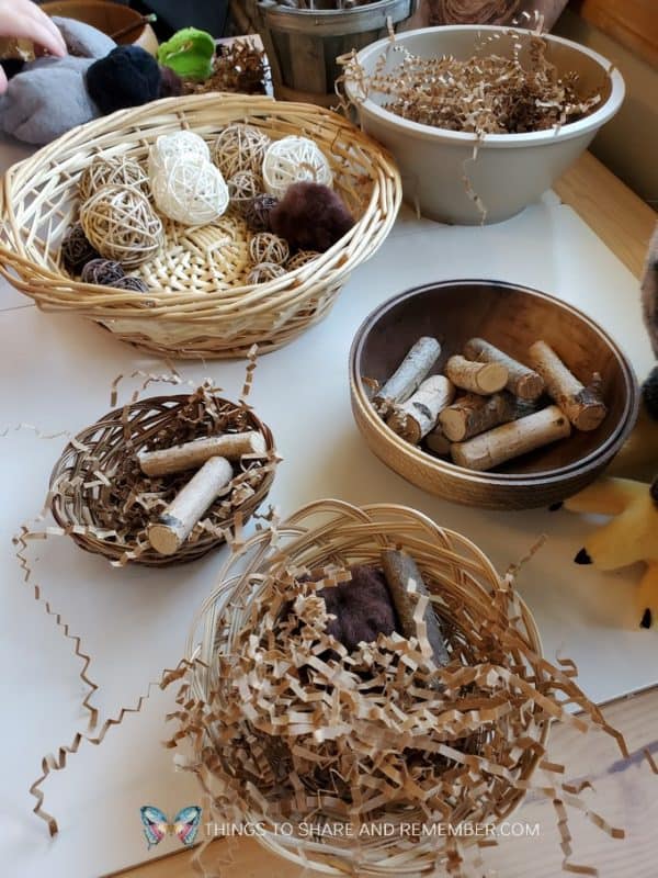 Build a Bird Nest Activity » Things to Share & Remember