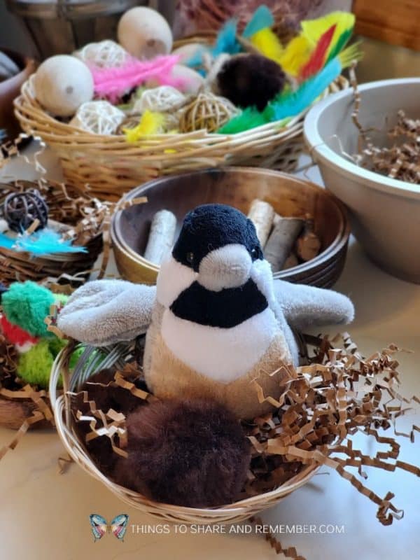 Build a Bird Nest Activity » Things to Share & Remember
