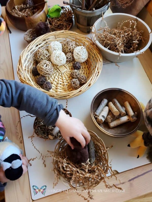 Build a Bird Nest Activity » Things to Share & Remember