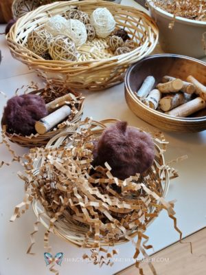Build a Bird Nest Activity » Things to Share & Remember