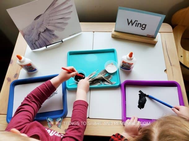 Bird Wing Art » Things to Share & Remember
