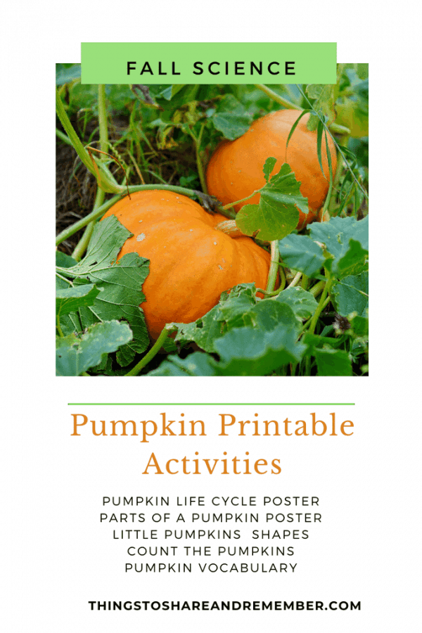 Printable Pumpkin Activities » Things to Share & Remember
