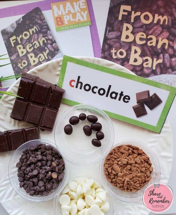 Chocolate Grows in the Rainforest » Things to Share & Remember