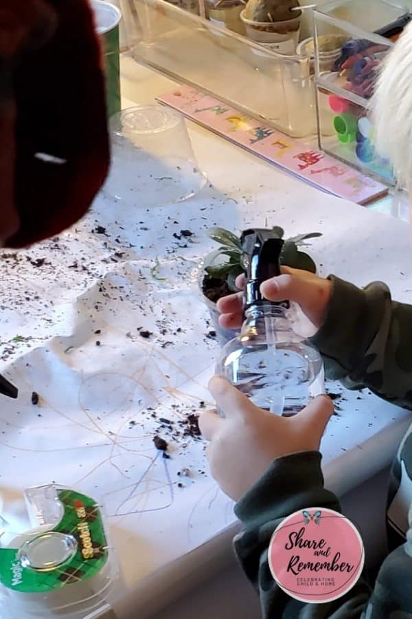 Mini Rainforest Terrariums » Things to Share & Remember