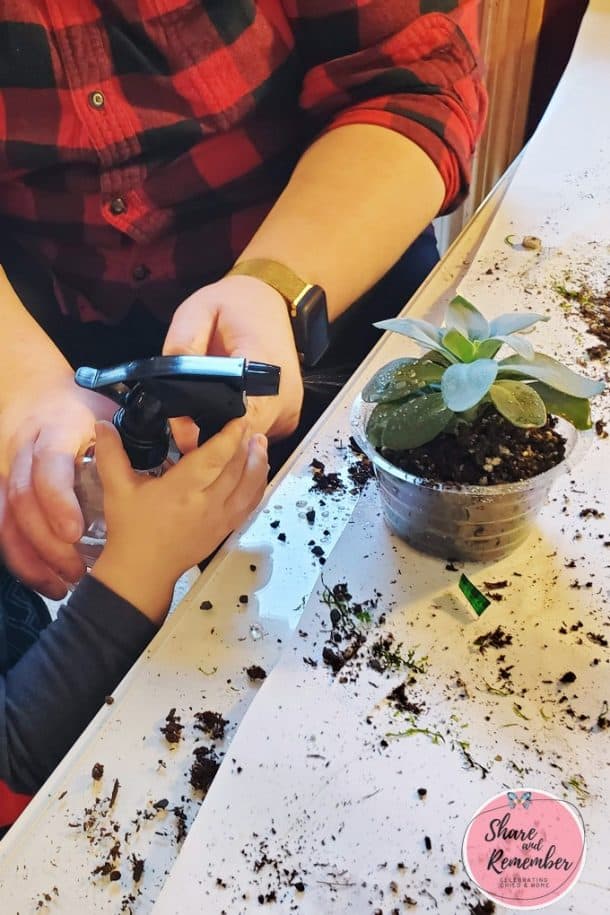Mini Rainforest Terrariums » Things to Share & Remember