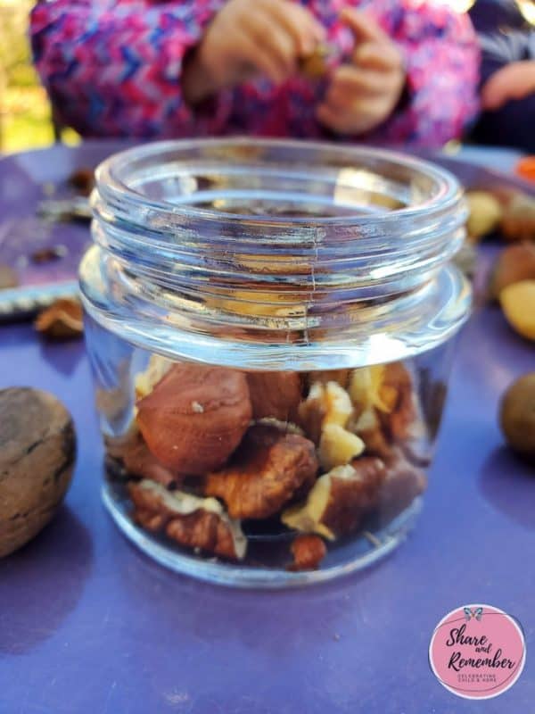 Cracking Nuts in Preschool » Things to Share & Remember