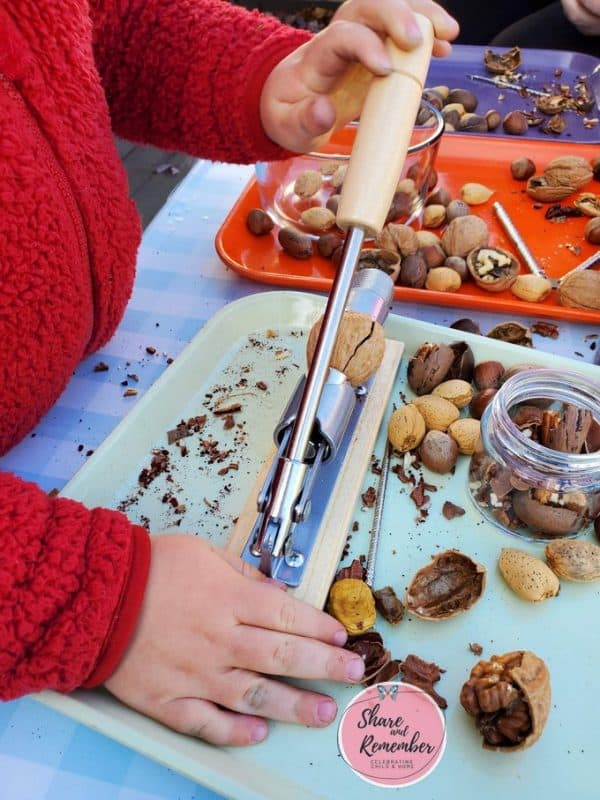 Cracking Nuts in Preschool » Things to Share & Remember