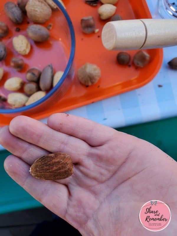 Cracking Nuts in Preschool » Things to Share & Remember
