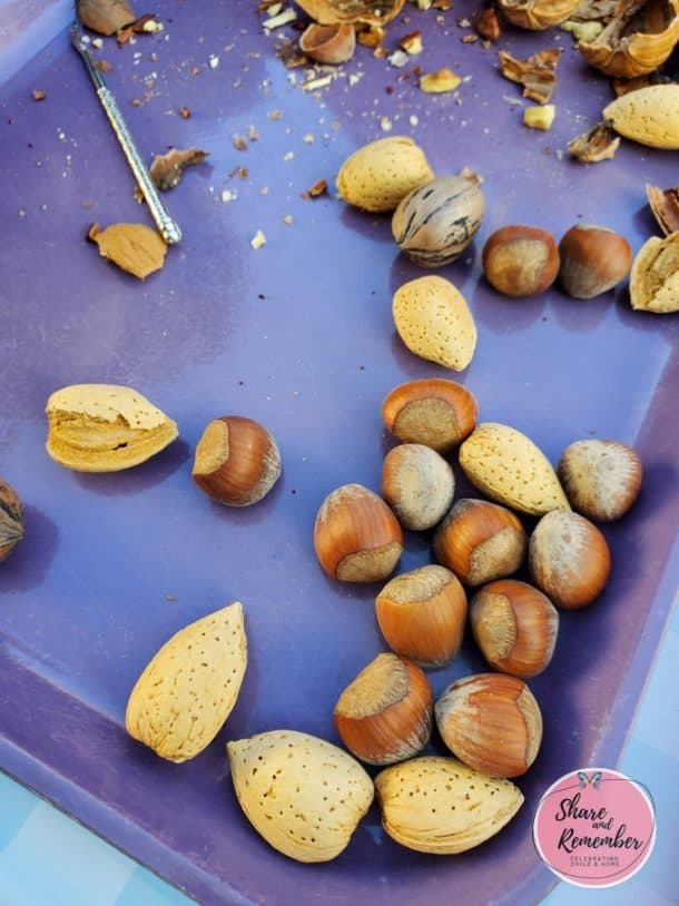 Cracking Nuts in Preschool » Things to Share & Remember