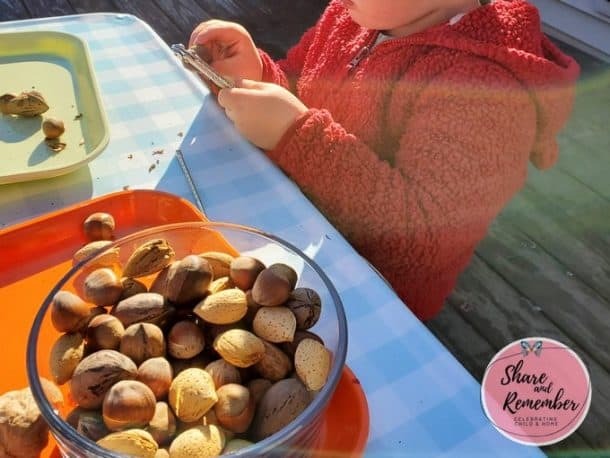 Cracking Nuts in Preschool » Things to Share & Remember