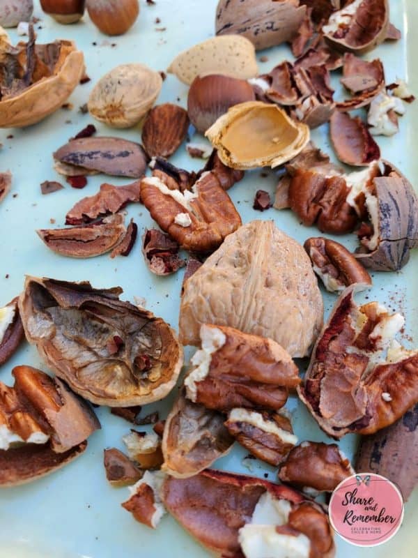 Cracking Nuts in Preschool » Share & Remember | Celebrating Child & Home
