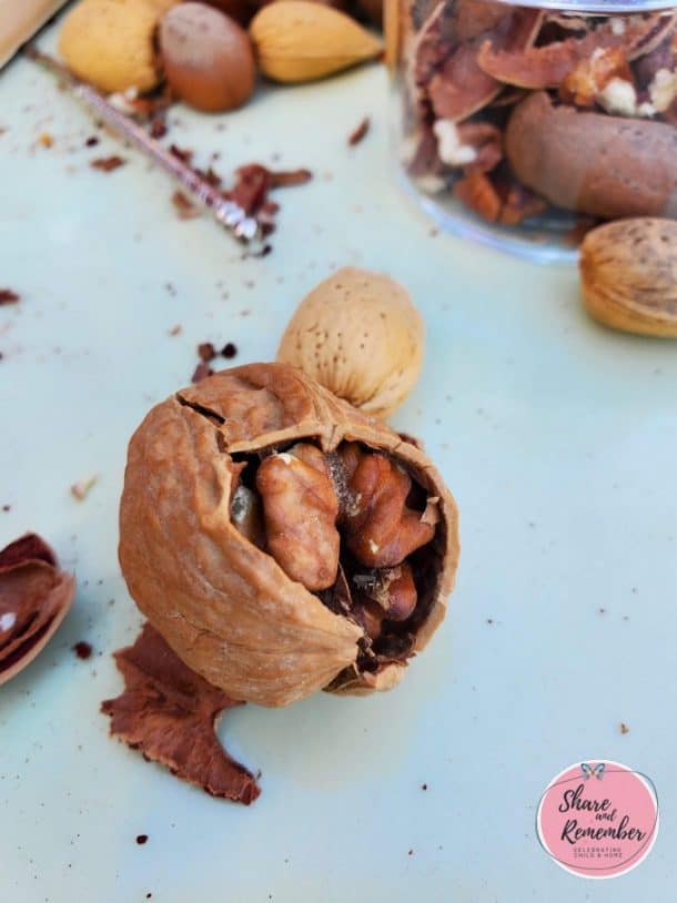 Cracking Nuts in Preschool » Things to Share & Remember