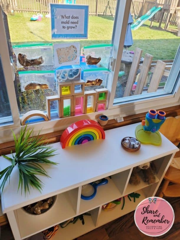 Growing Mold Science » Things to Share & Remember