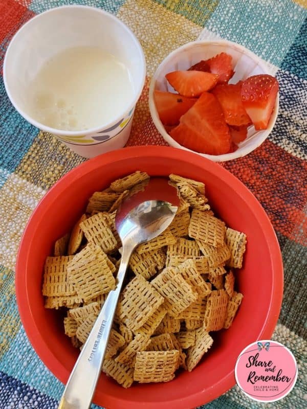 Child Care Meal & Snack Count Recordkeeping Forms » Things to Share ...