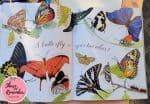 Spring Butterfly Matching Sensory Tray for Preschoolers