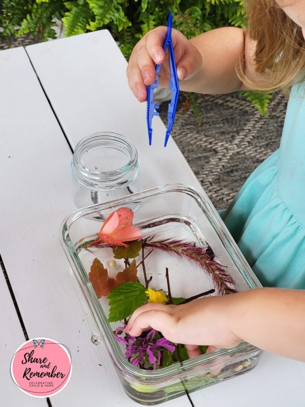 Sorting Seeds Nature Trays » Things to Share & Remember