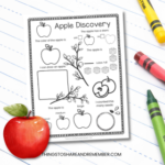 Apples Preschool Theme » Things to Share & Remember