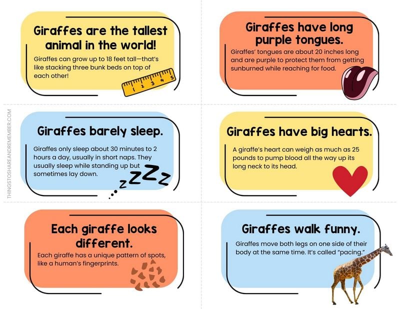 Printable Giraffe Facts for Kids Cards