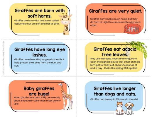 Printable Giraffe Facts for Kids Cards
