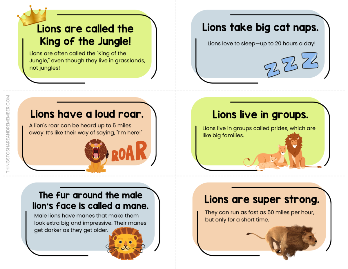 12 Lion Facts for Kids with FREE Printable Cards to Prompt Inquiry